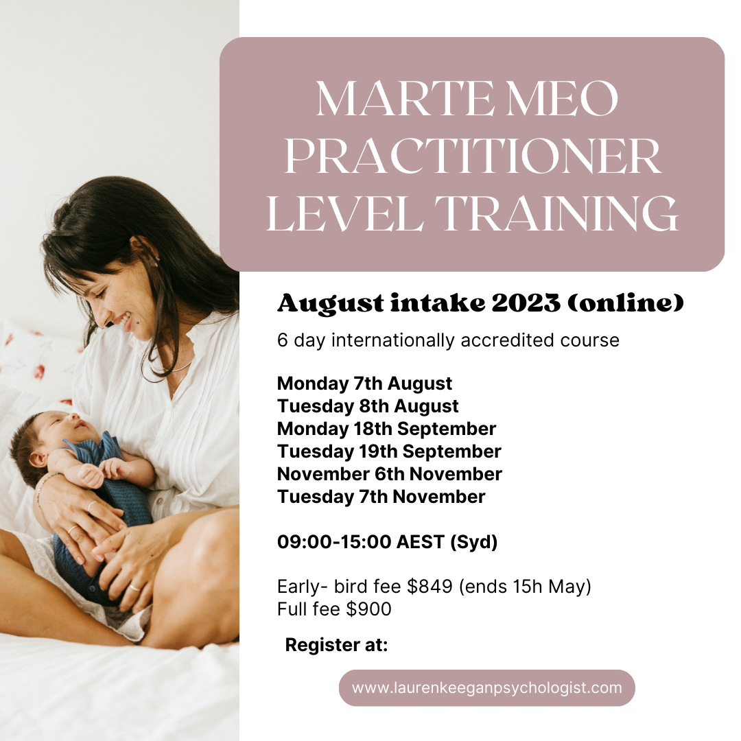 Marte Meo Practitioner Level Training Online August 2023 | Lauren Keegan