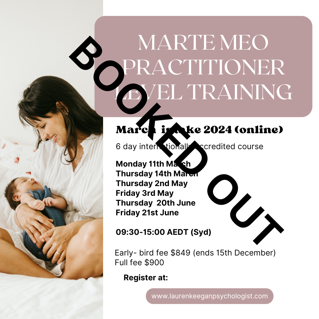 Marte Meo Practitioner Level Training Online March 2024 | Lauren Keegan
