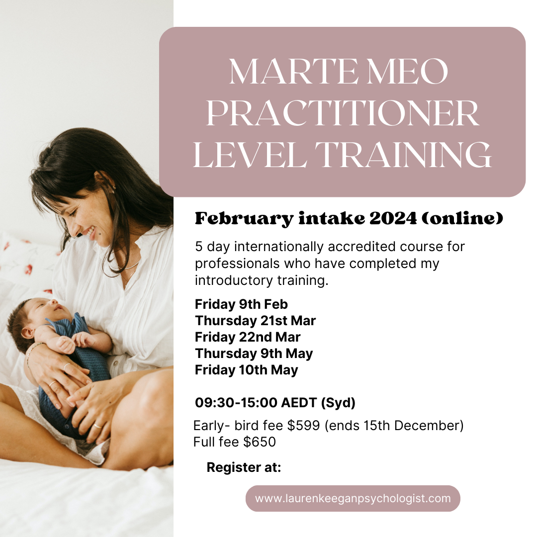 Marte Meo Practitioner Level Training Online February 2024 | Lauren Keegan